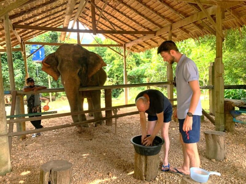 Khao Sok: Elephant Rescue Center with Lunch & Bamboo Rafting - Starting the Day: Easy Pickup and Scenic Drive