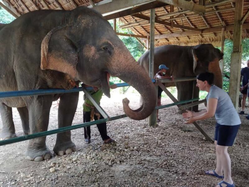 Khao Sok: Elephant Rescue Center with Lunch & Bamboo Rafting - Elephant Sanctuary: Ethical Encounters with Gentle Giants