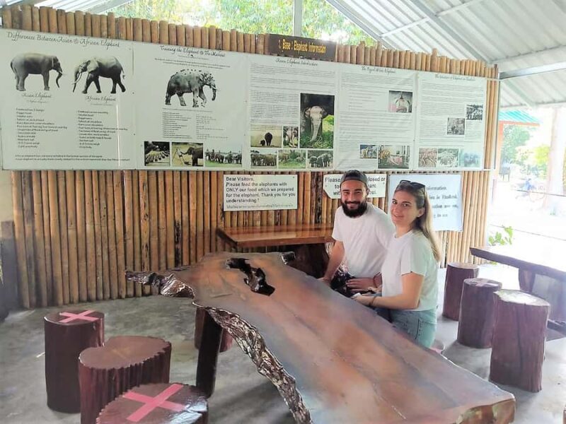 Khao Sok: Elephant Rescue Center with Lunch & Bamboo Rafting - Thai Cooking Class: Tasting the Flavors of Thailand