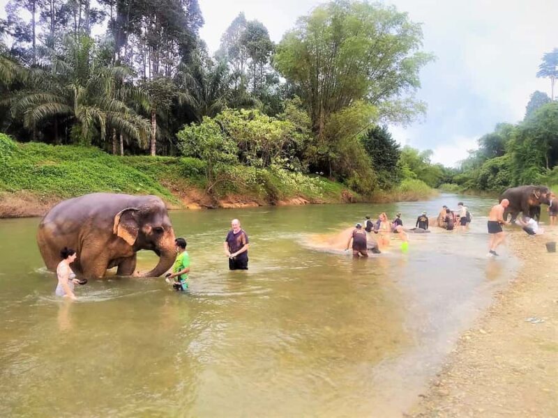 Khao Sok: Elephant Rescue Center with Lunch & Bamboo Rafting - Bamboo Rafting: Peaceful Trip Down the Sok River