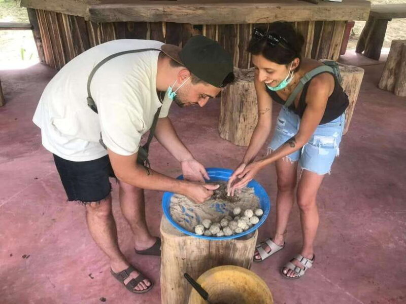 Khao Sok: Ethical Elephant Experience & Nature Walk - Practical Details: What to Expect and Consider