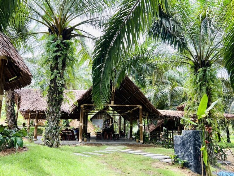 Khao Sok: Ethical Elephant Sanctuary Visit - The Authenticity and Impact of Your Visit