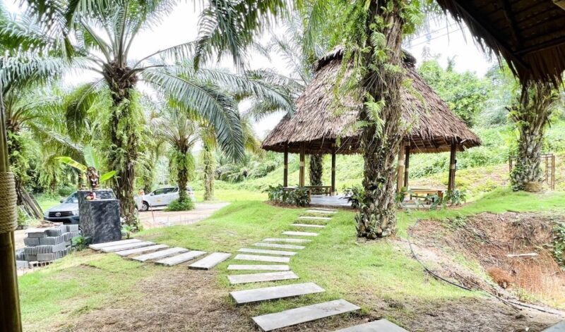 Khao Sok: Ethical Elephant Sanctuary Visit - Final Thoughts: Who Benefits Most from This Tour?