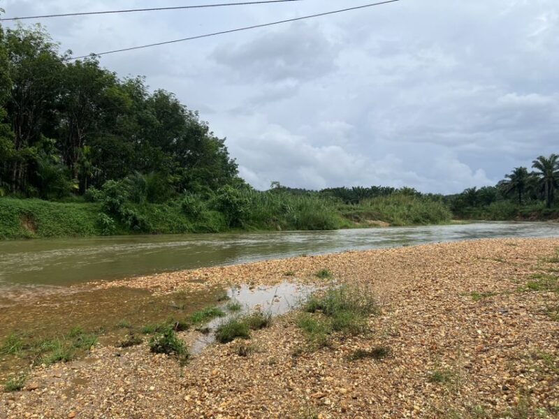 Khao Sok: Ethical Elephant Sanctuary Visit - FAQ