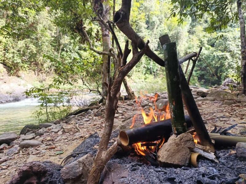 Khao Sok: Full Day Half Night Trek with Lunch & Dinner - An In-Depth Look at the Khao Sok Full Day Trek