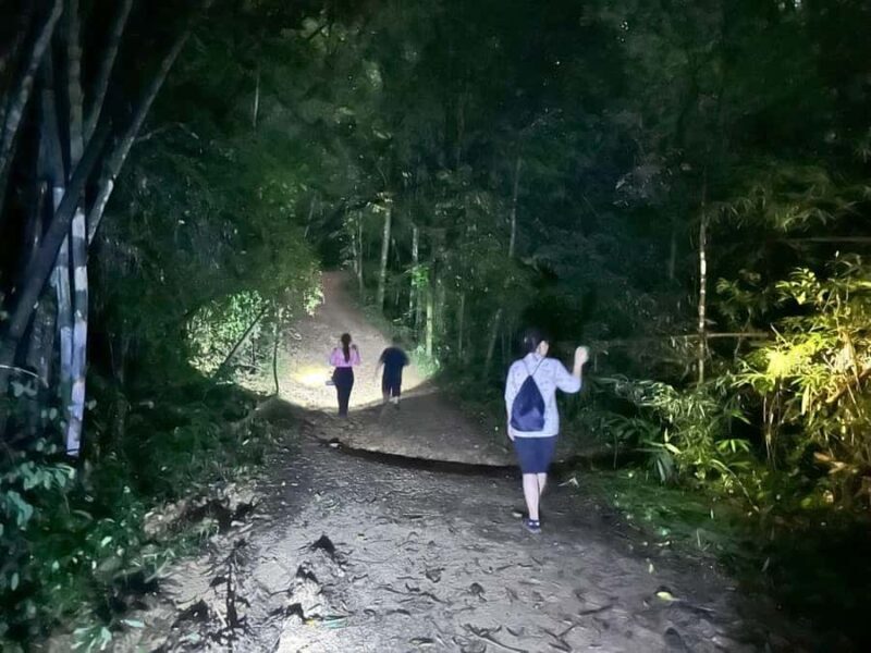 Khao Sok Jungle Sunset Wildlife Encounter & Bamboo Rafting - Key Points