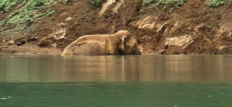 Khao Sok National Park: 3-day nature & jungle tour on Cheow Lan Lake - Key Points