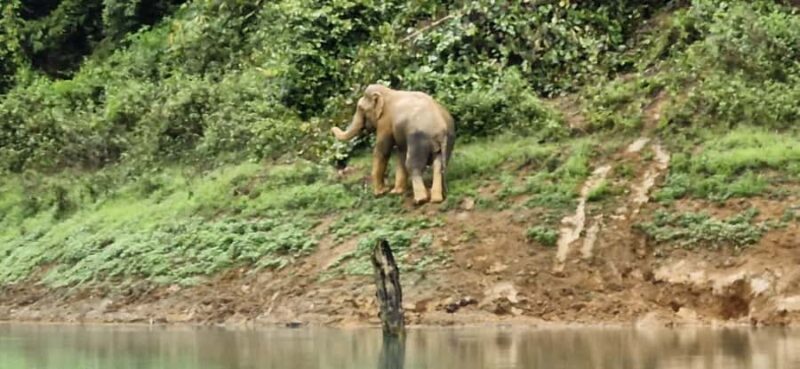 Khao Sok National Park: 3-day nature & jungle tour on Cheow Lan Lake - The Journey Begins: From Your Accommodation to the Lake