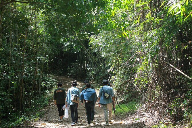 Khao Sok National Park Hiking and Bamboo Raft Tour From Khao Lak - Who Should Join This Tour?