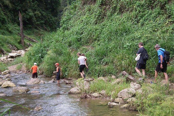 Khao Sok National Park Jungle Safari Full Day Tour from Phuket - The Sum Up