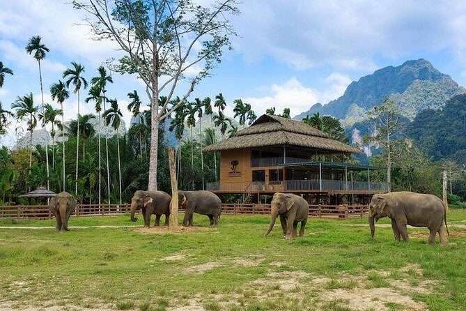 Khao Sok National Park Jungle Safari Full Day Tour from Phuket - FAQs