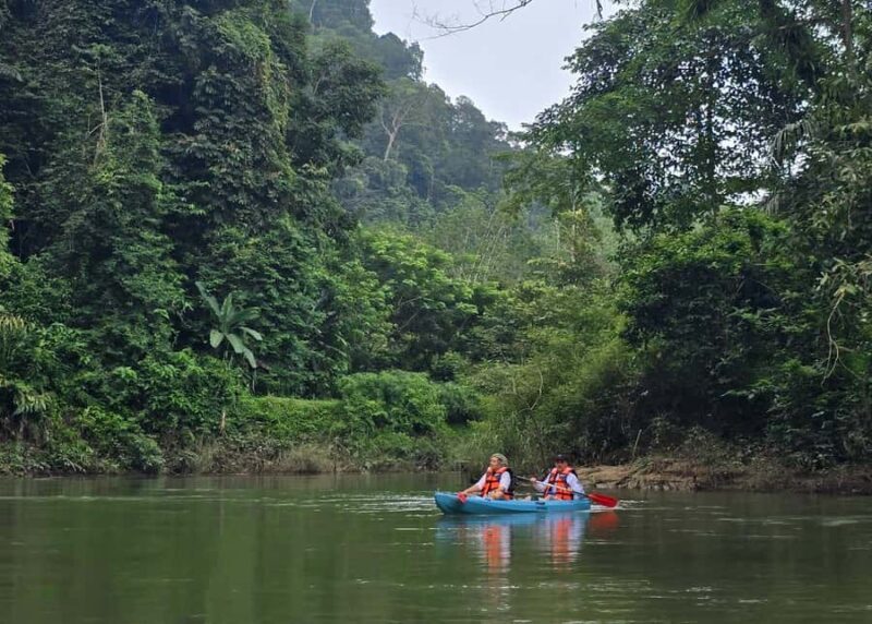 Khao Sok Park: Jungle Kayak Adventure & Wildlife Tour - Final Thoughts