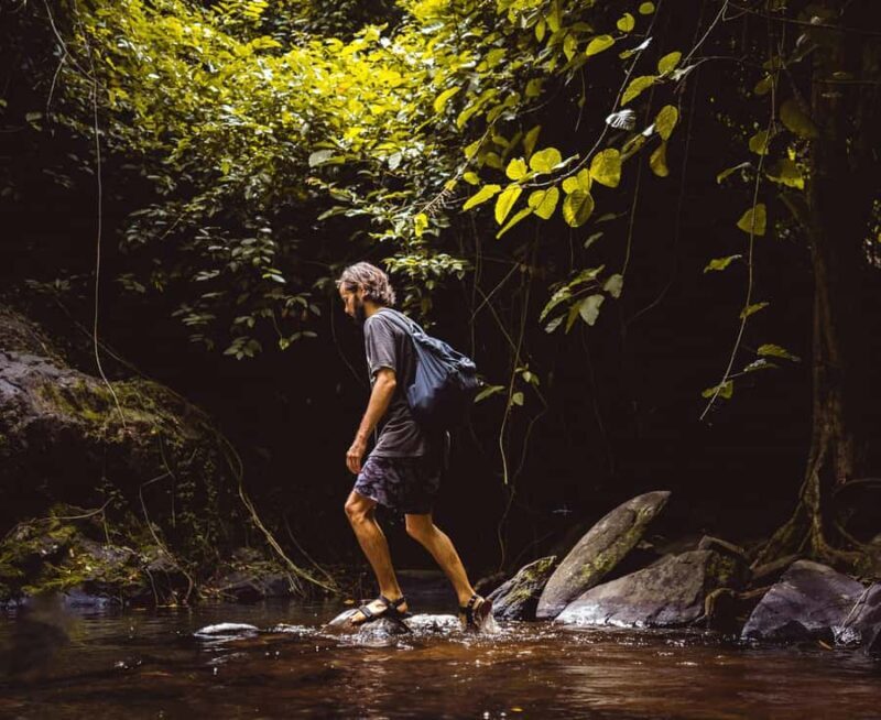 Khao Sok: Private Day Trekking, Jungle Dinner & Night Safari - The Sum Up