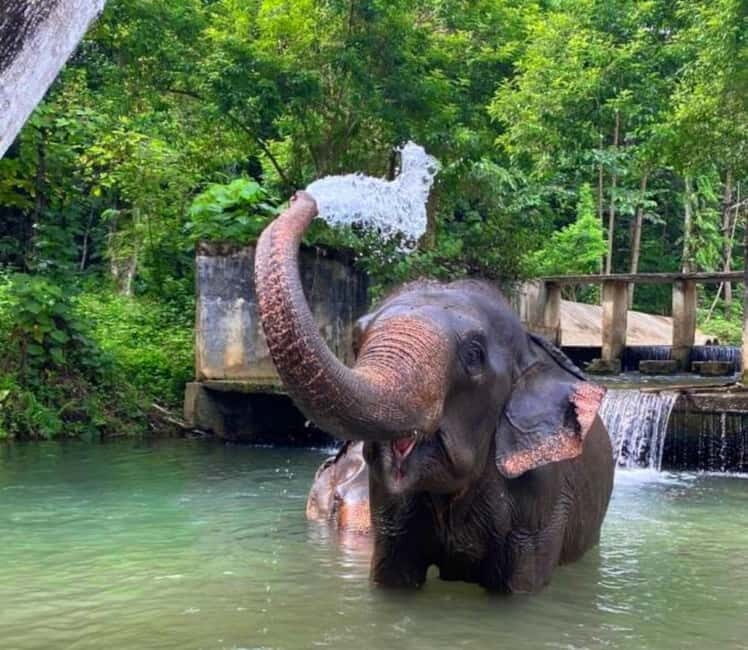 Khao Sok: Private Ethical Elephant Sanctuary Adventure - The Overall Value and Who It’s For