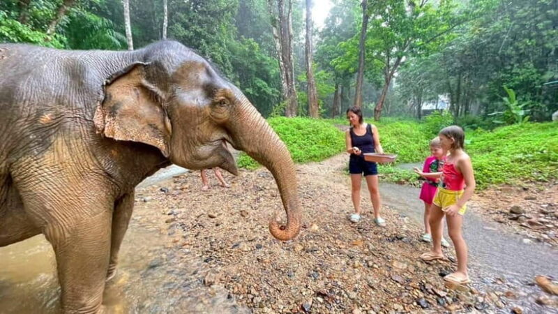 Khao Sok: Private Ethical Elephant Sanctuary Adventure - FAQ