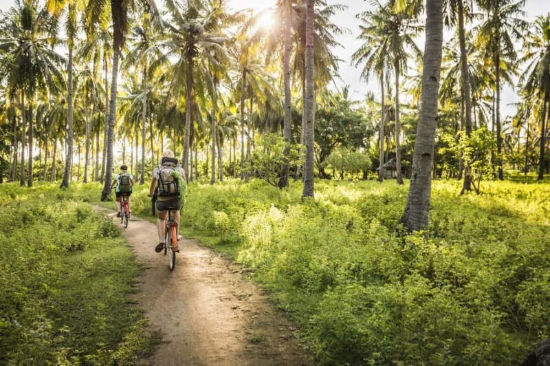 Khao Sok: Private Local Life Bike Tour with Fruit Tasting - The Itinerary: What to Expect on Your Bike Ride