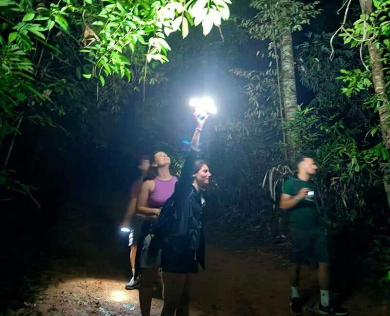 Khao Sok: Private Night Safari Adventure w/ Hotel Transfer - FAQ