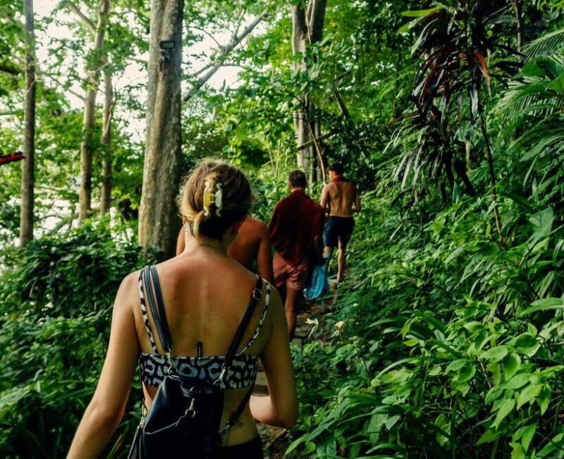 Khao Sok: Private Waterfalls and Wildlife Half-Day Trek - A Closer Look at the Tour Experience