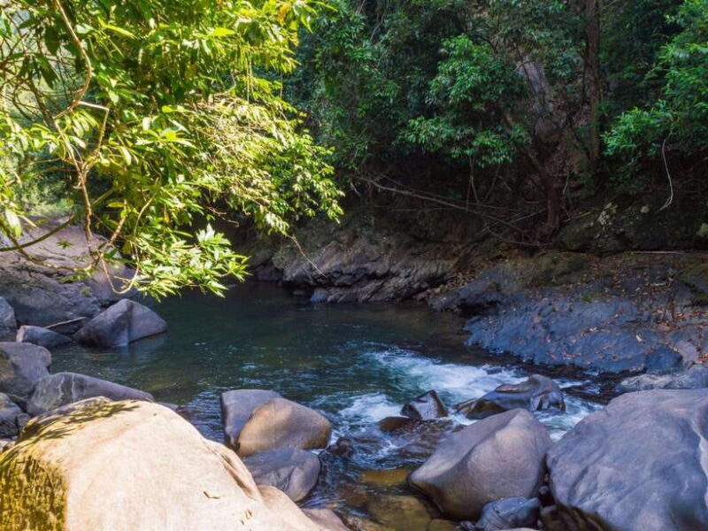 Khao Sok: Private Waterfalls and Wildlife Half-Day Trek - Who Is This Tour Best For?