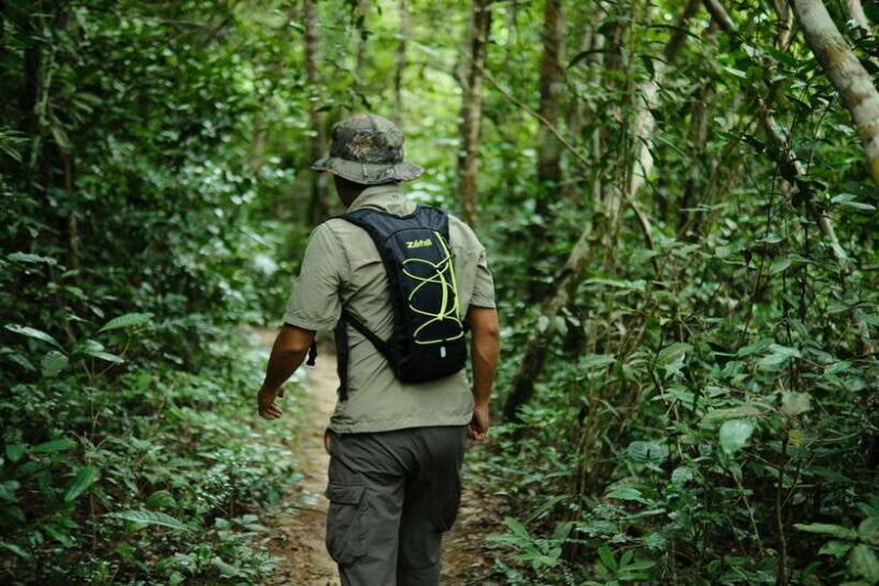 Khao Sok: Private Waterfalls and Wildlife Half-Day Trek - The Sum Up