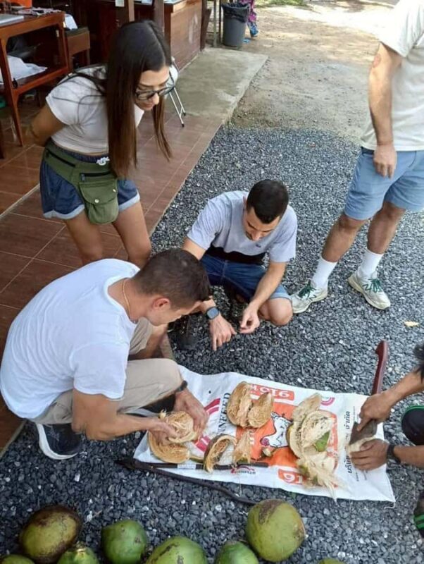 Khao Sok: Thai Cooking Class with Organic Farm and Pickup - FAQ