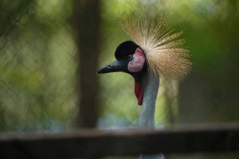 Khao Yai: All-Time Favorites Private Car Tour from Bangkok - The Sum Up