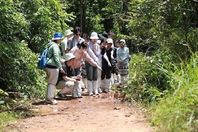 Khao Yai Full Day Tour Haew Narok Waterfall and Jungle Trekking - The Sum Up
