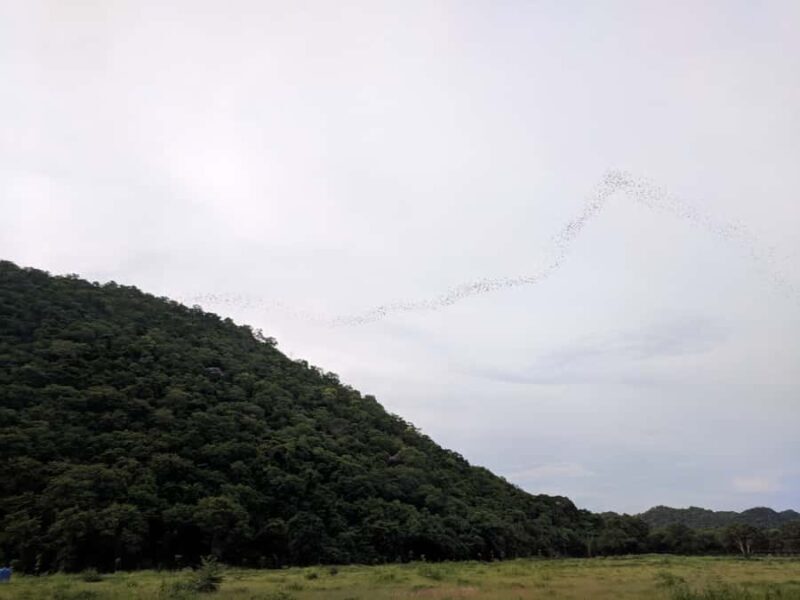 Khao Yai National Park: 2-Day Private Tour from Bangkok - Key Points