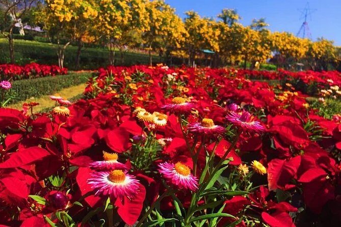 Khao Yai national Park day tour from Bangkok - Who Is This Tour Best For?