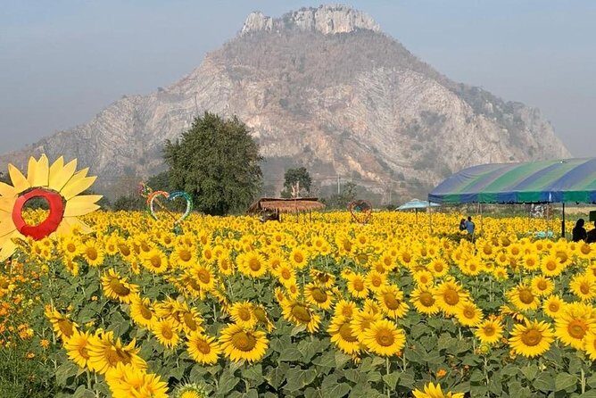 Khao Yai national Park day tour from Bangkok - Final Thoughts