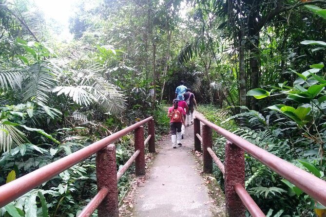 Khao Yai National Park Hiking Day Tour: Haew Narok and Haew Suwat - Final Thoughts