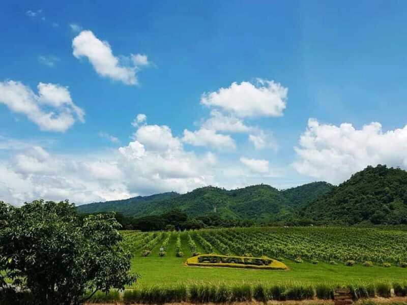 Khao Yai Vineyard Tasting Tour & Horse Farm Visit - Who Will Enjoy This Tour?