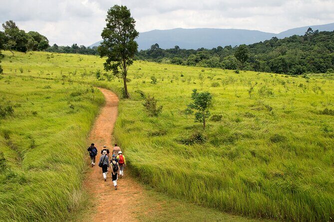 Khao Yai: Waterfalls, Deer Spotting & Jungle Walks Day Tour - Introduction: A Nature Escape with Flexibility and Charm