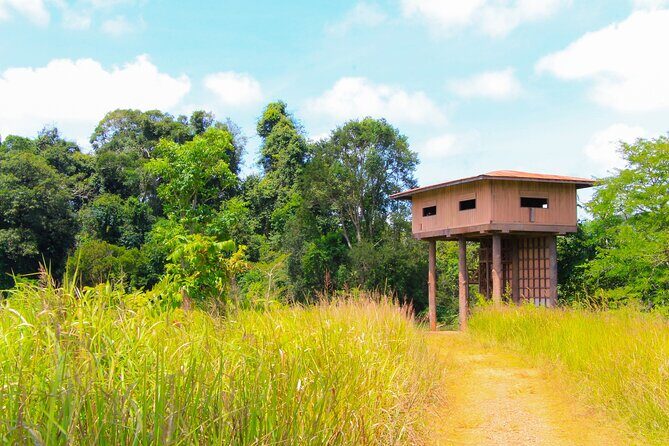 Khao Yai: Waterfalls, Deer Spotting & Jungle Walks Day Tour - The Sum Up: Who Will Love This Tour?