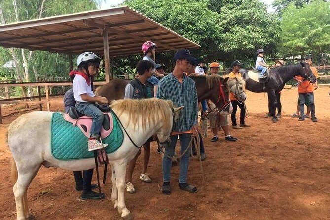 Khao Yai Winery - Vineyard Tours & Animal Lover with Horse Farm - Authentic Insights from Travelers