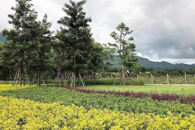 Khao Yai Winery - Vineyard Tours & Animal Lover with Horse Farm - Who Is This Tour Best Suited For?