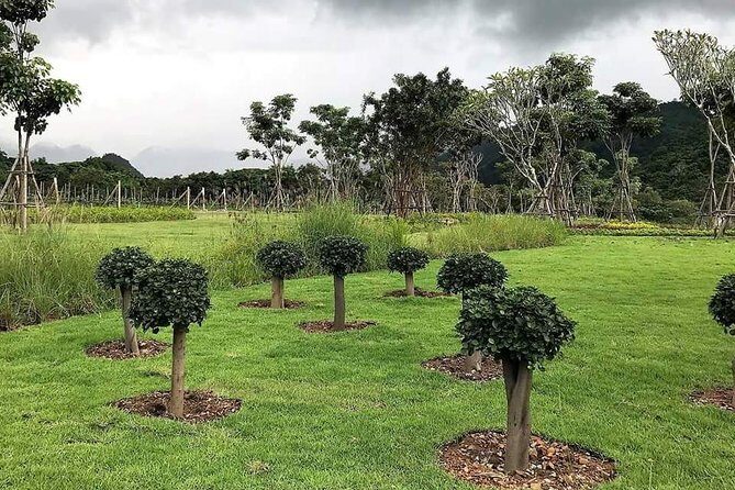 Khao Yai Winery - Vineyard Tours & Animal Lover with Horse Farm - Final Thoughts