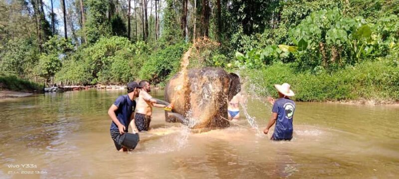 Khaolak: Elephant Interaction in Sanctuary with Bamboo Raft - Starting the Day with Purpose and Comfort