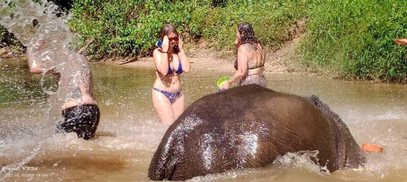 Khaolak: Elephant Interaction in Sanctuary with Bamboo Raft - Wrapping Up the Day