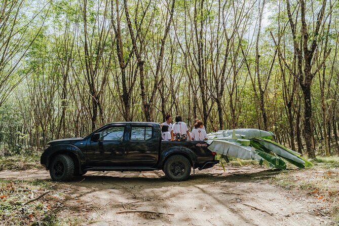 Khaolak Elephant Sanctuary, Cooking Class and Waterfall Tour - Who Is This Tour Best For?