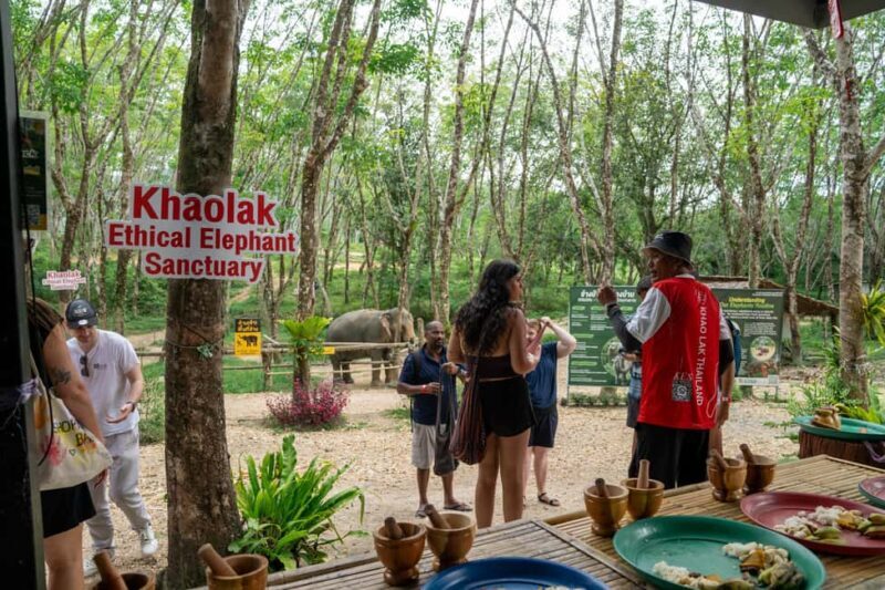 Khaolak: Elephant Sanctuary Guided Tour with Hotel Transfers - Key Points