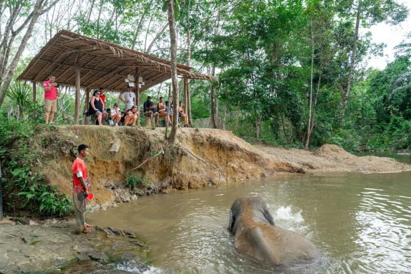 Khaolak: Elephant Sanctuary Guided Tour with Hotel Transfers - An In-Depth Look at the Elephant Sanctuary Guided Tour