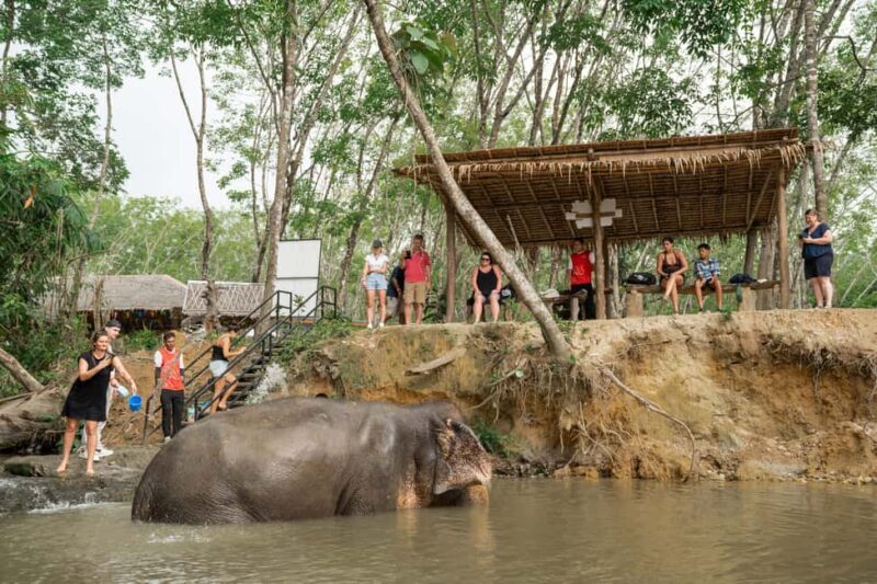 Khaolak: Elephant Sanctuary Guided Tour with Hotel Transfers - Who Will Appreciate This Tour?