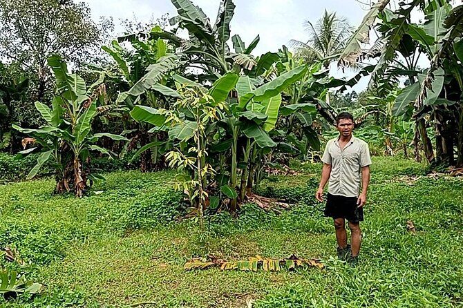 Khaolak Ethical Elephant Sanctuary Overnight Program - Why This Experience Matters for Travelers