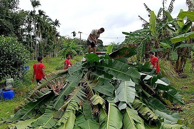 Khaolak Ethical Elephant Sanctuary Overnight Program - Who Should Consider This Tour?