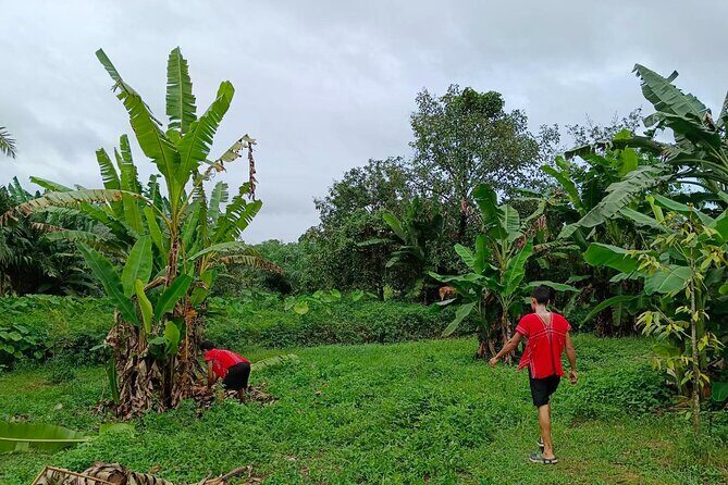 Khaolak Ethical Elephant Sanctuary Overnight Program - Frequently Asked Questions