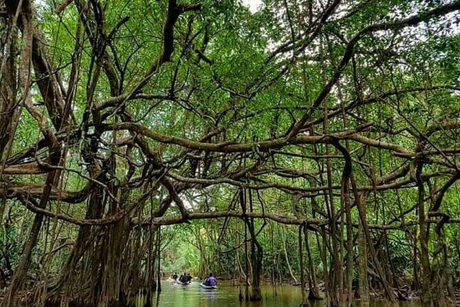 Khaolak Nature & Culture Tour with Lunch - A Deep Dive into the Khaolak Nature & Culture Tour