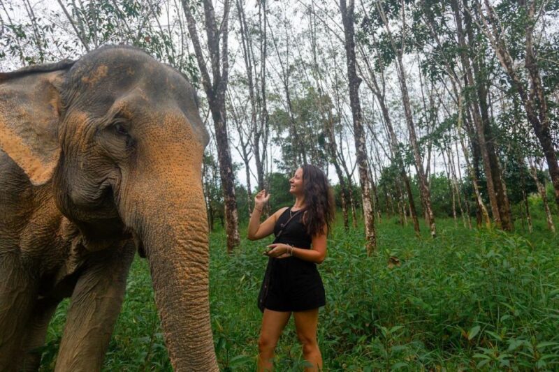 Khaolak: Sunset Elephant Walk with Complimentary Cocktail - An Honest Look at the Sunset Elephant Walk in Khaolak