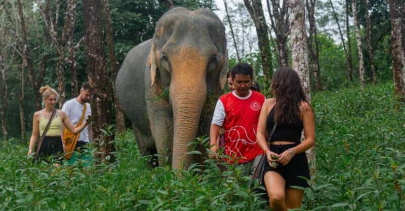Khaolak: Sunset Elephant Walk with Complimentary Cocktail - Final Thoughts