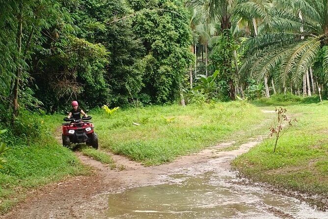 Khaolak Wild Ride and Gentle Giants Experience - Key Points